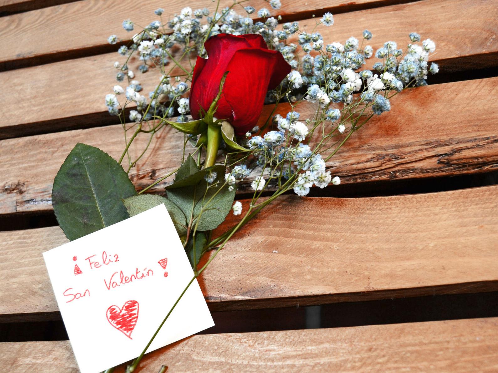 Las flores siguen siendo tendencia en San Valentín - Floristería La ...